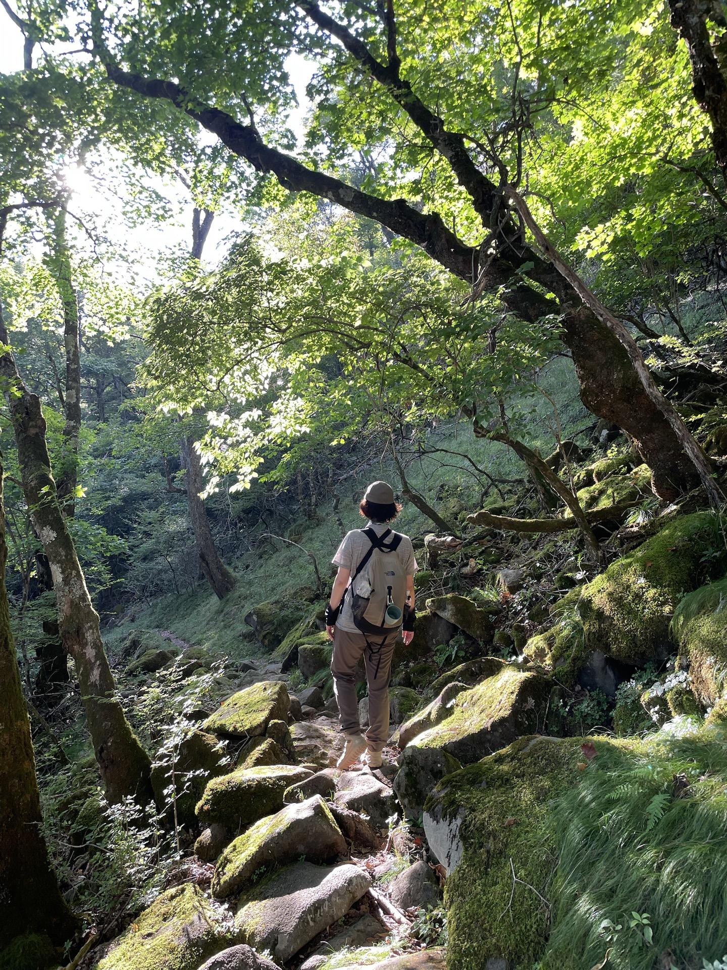 美ヶ原ウォーキング / Rollさんの美ヶ原の活動データ | YAMAP / ヤマップ