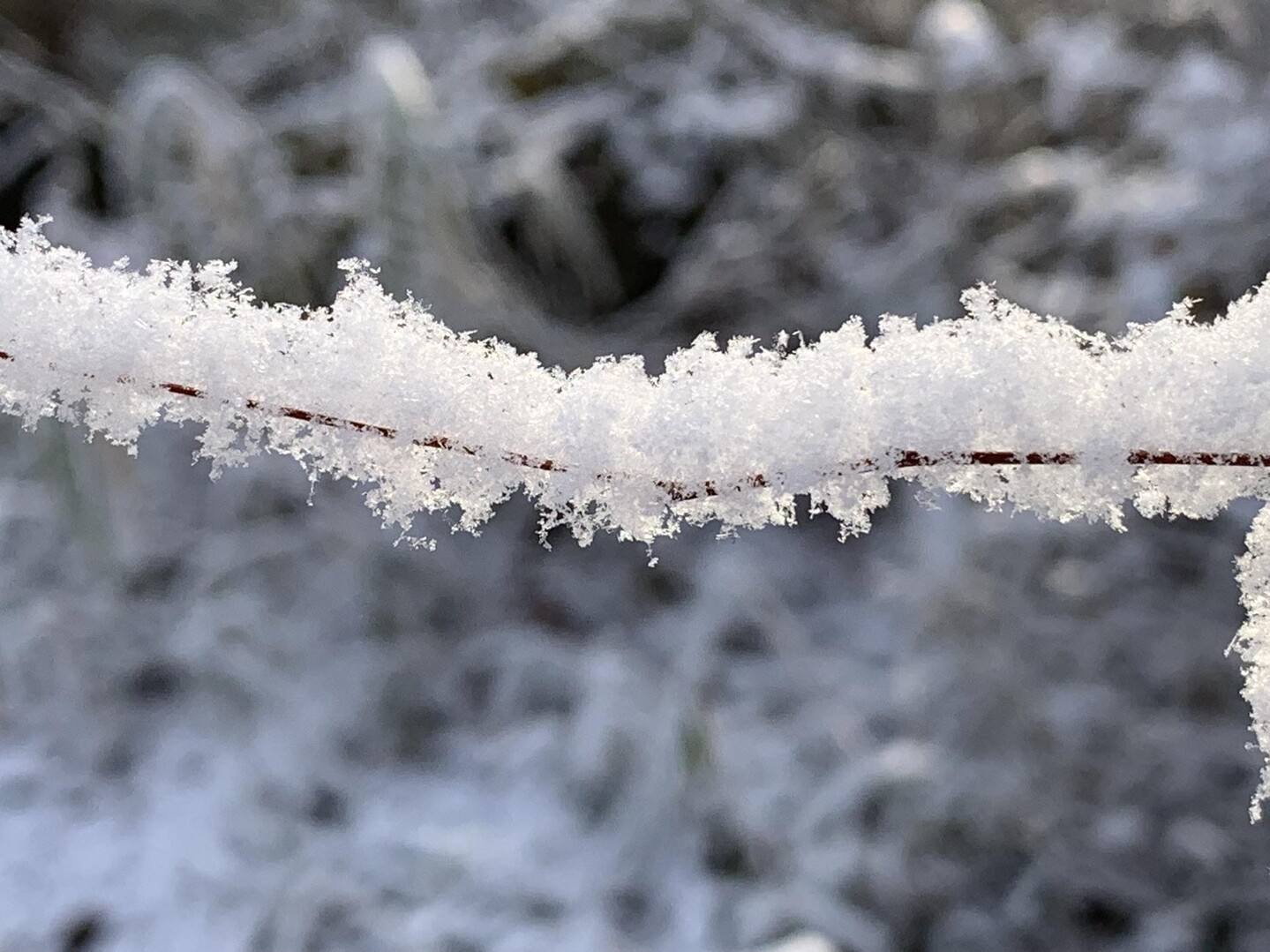 猪子山 / kaakoさんの繖山（観音寺山）の活動データ | YAMAP / ヤマップ