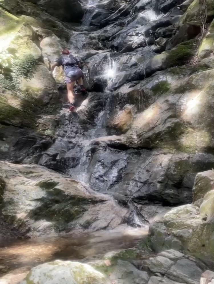 本宮山アドベンチャー / akkoさんの本宮山・大日山・風頭山の活動データ | YAMAP / ヤマップ