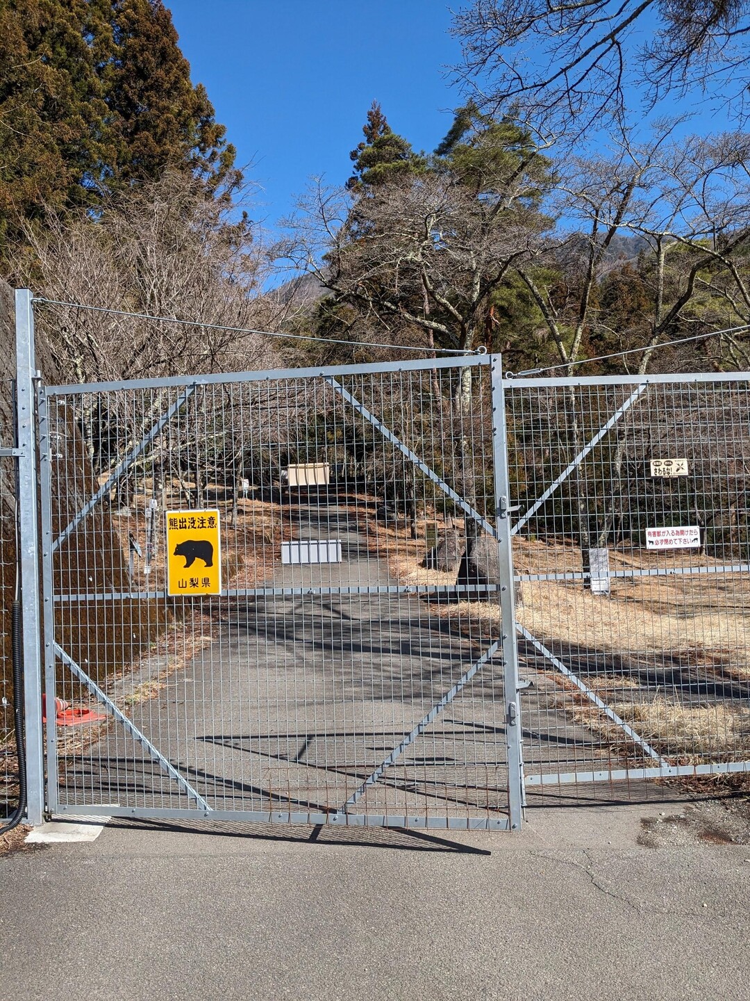 滝子山 / dadadadさんの滝子山・大谷ヶ丸・笹子雁ヶ腹摺山の活動データ | YAMAP / ヤマップ