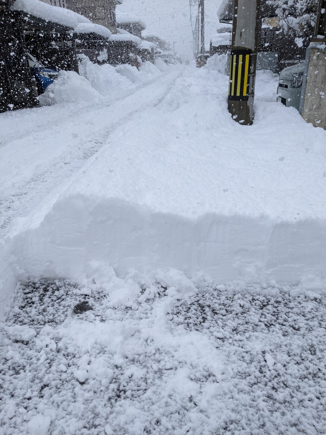 山登りしようと玄関でたら30〜40cmの... / ゆうziさんのモーメント | YAMAP / ヤマップ