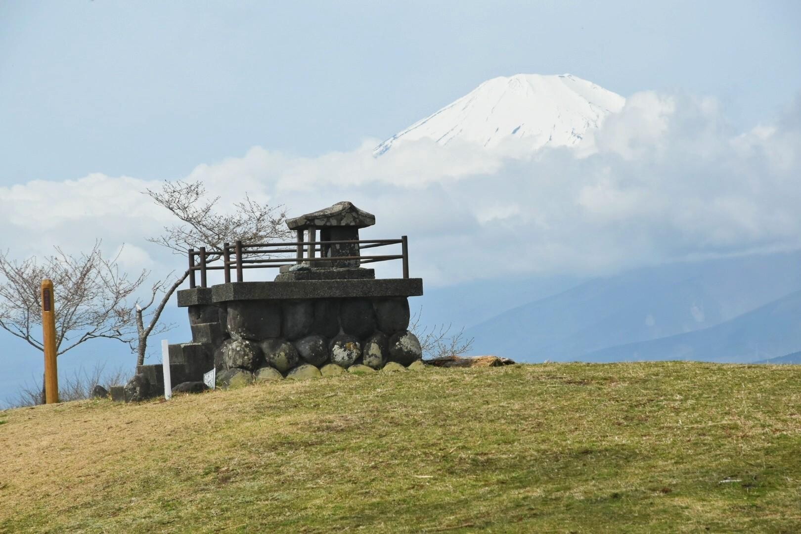 春の大野山 / TAKANOさんの高松山・大野山の活動日記 | YAMAP / ヤマップ