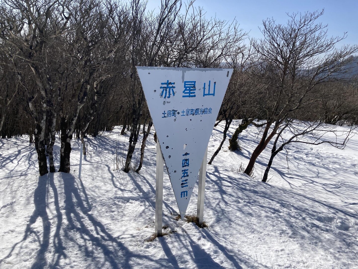 雪あるじゃん ️赤星山・豊受山 / n o r i n o r iさんの赤星山・豊受山の活動データ | YAMAP / ヤマップ