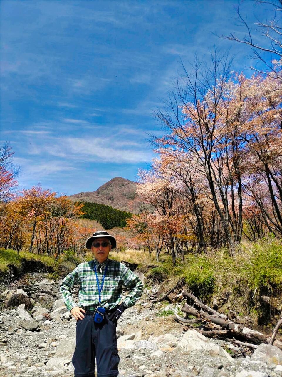 ハトコ＆妹夫妻・・・山桜満喫 中々 ... / sin358さんのモーメント | YAMAP / ヤマップ