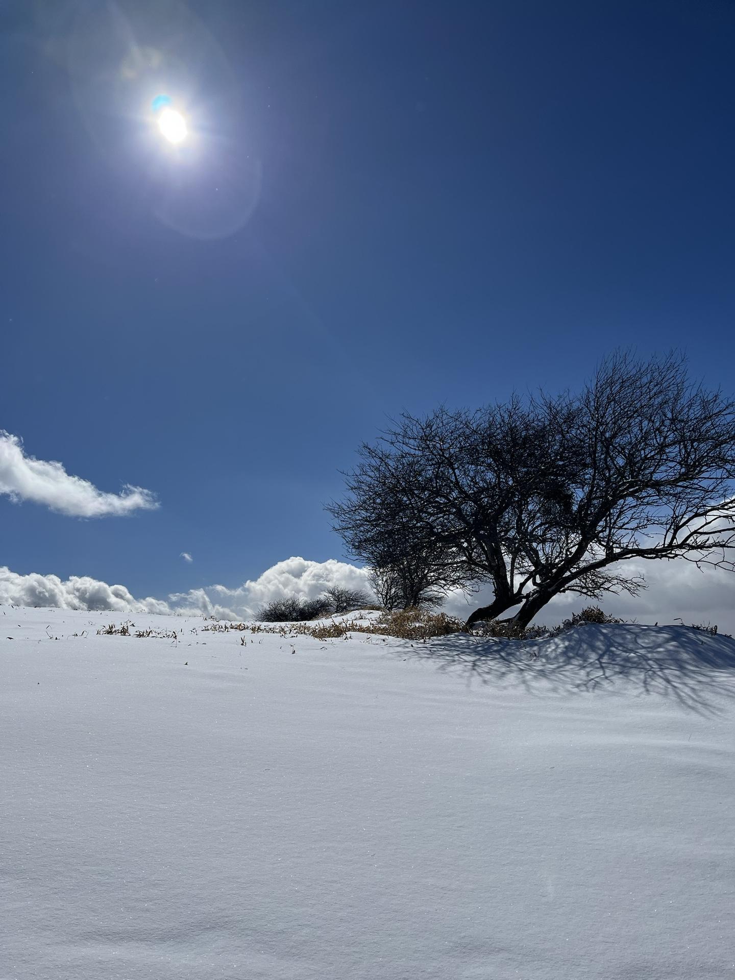 高ボッチ山 / KANさんの鉢伏山・高ボッチ山・三峰山の活動データ | YAMAP / ヤマップ