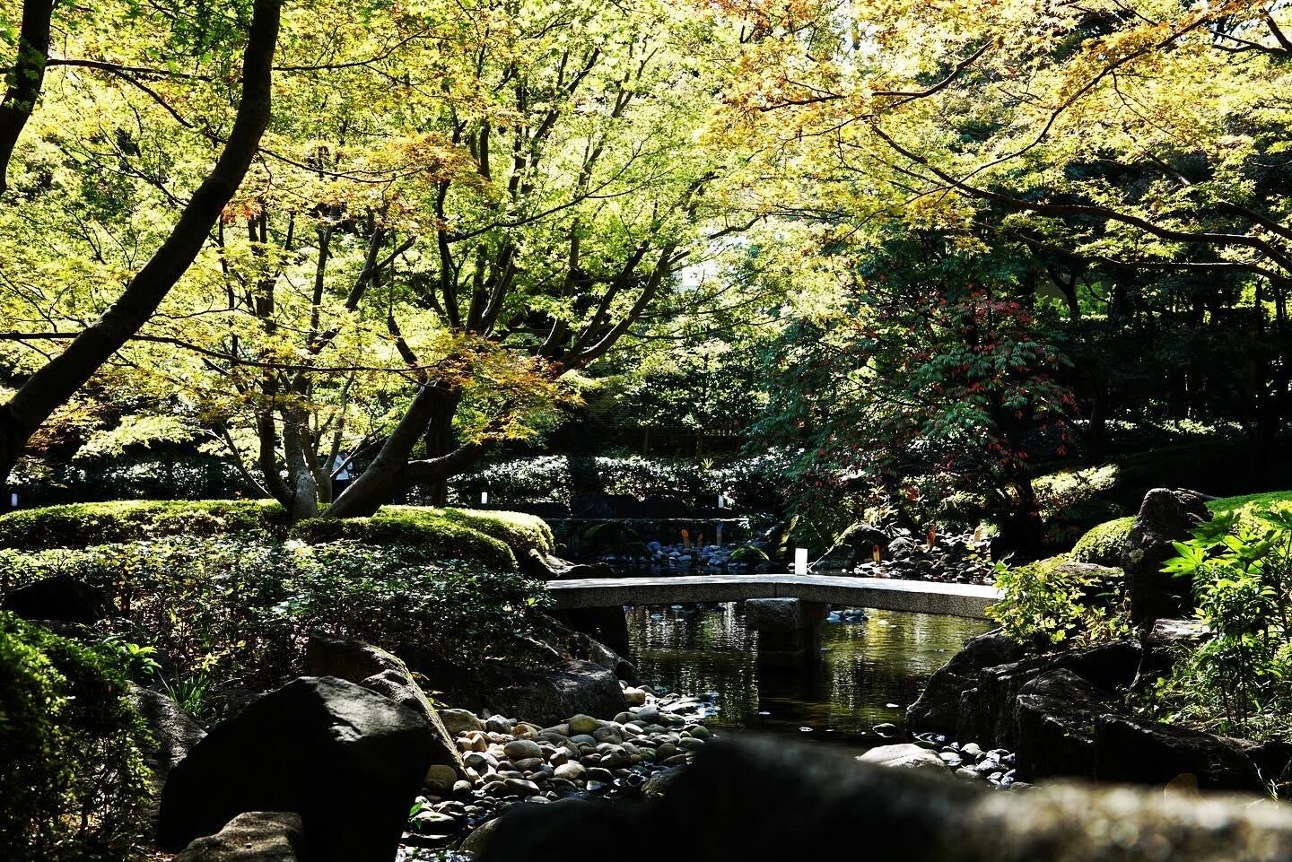 2023/10/28@大田黒公園 htt... / タカフミさんのモーメント | YAMAP / ヤマップ