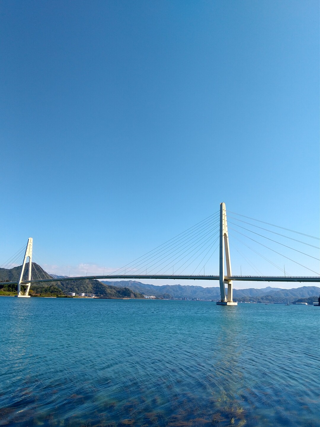 自治会役や親父の見舞いなど、忙しい4月で... / 山yuuさんのモーメント | YAMAP / ヤマップ