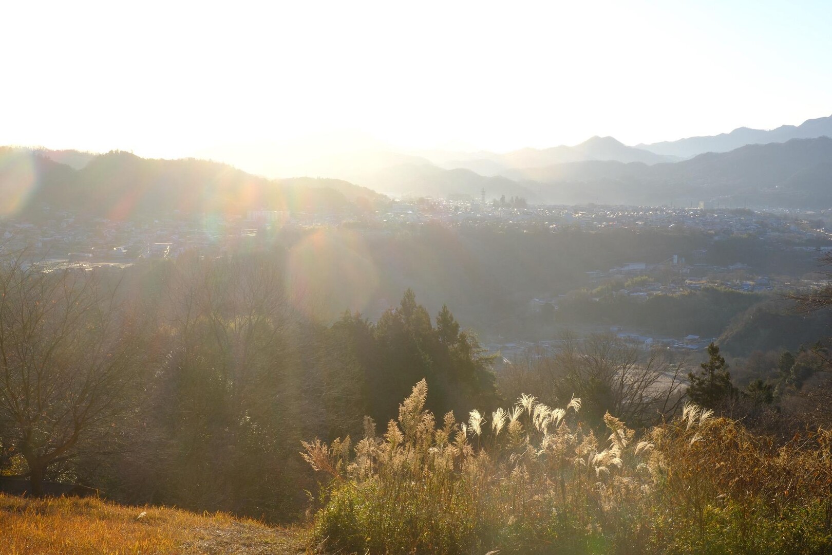 要害山から尾続山までぐるっと / sopaさんの八重山・能岳・聖武連山・要害山の活動日記 | YAMAP / ヤマップ
