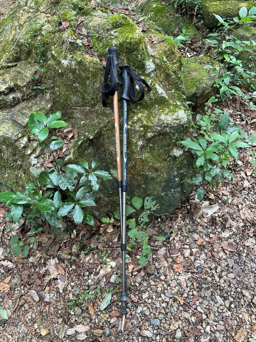 ダブルストックの功罪 / jinisanさんの金華山・洞山・舟伏山の活動データ | YAMAP / ヤマップ