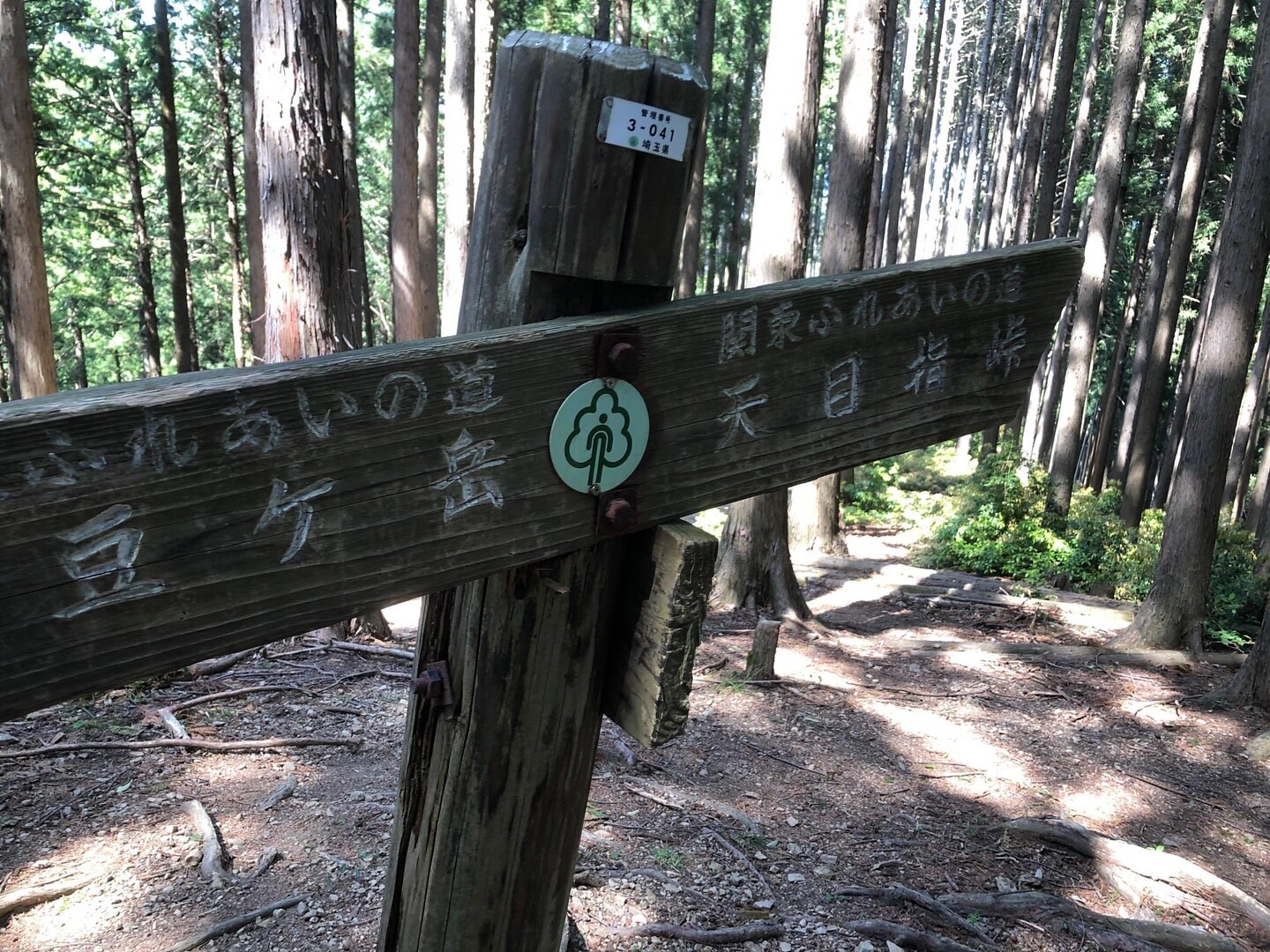 yhmgcさんの投稿したフィールドメモ | YAMAP / ヤマップ