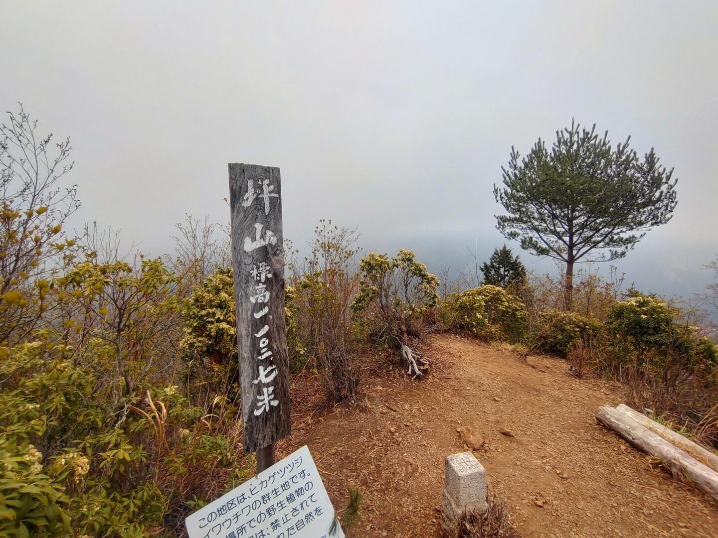坪山② / tuboさんの権現山・奈良倉山の活動データ | YAMAP / ヤマップ