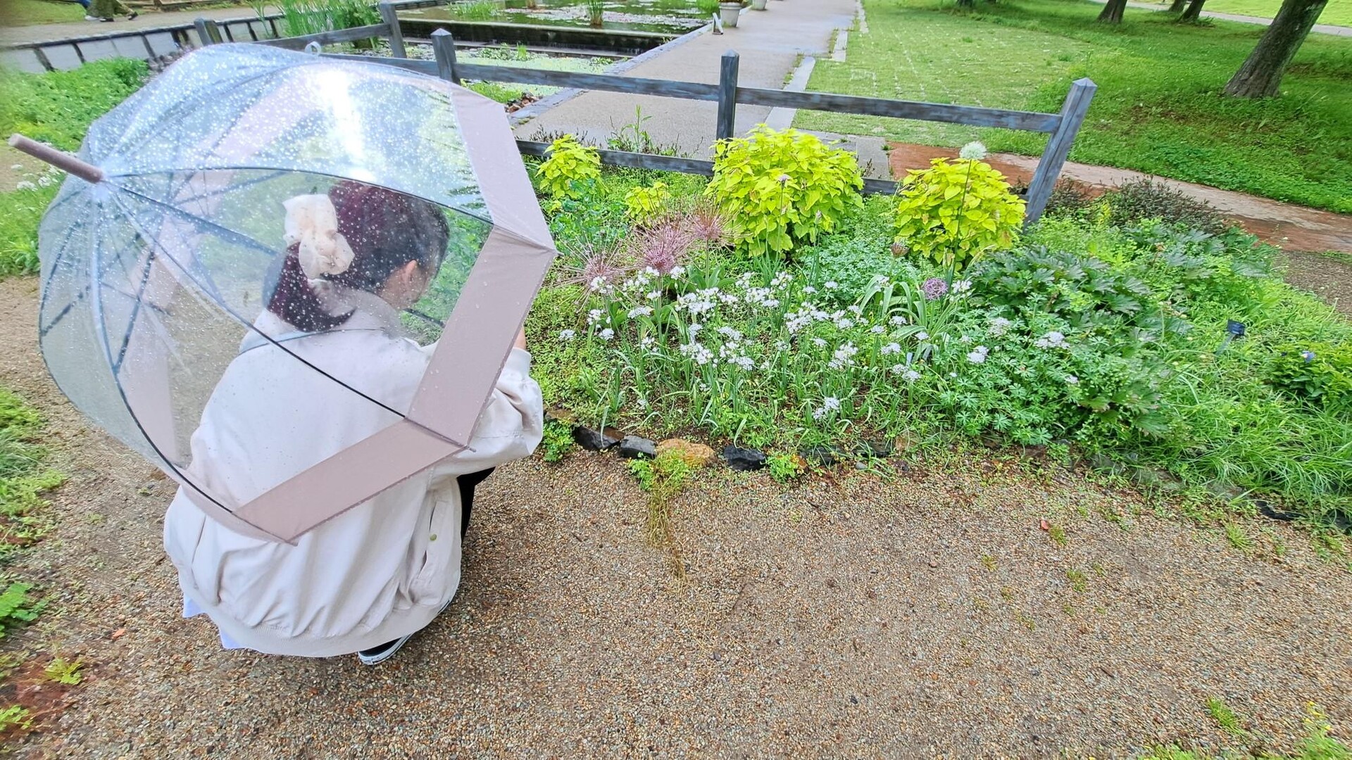 江南フラワーパークとランチ🌼GW4日目2024.5.1 / 🌻りえちゃん🌻🐇さんのウォーキングの活動データ | YAMAP / ヤマップ