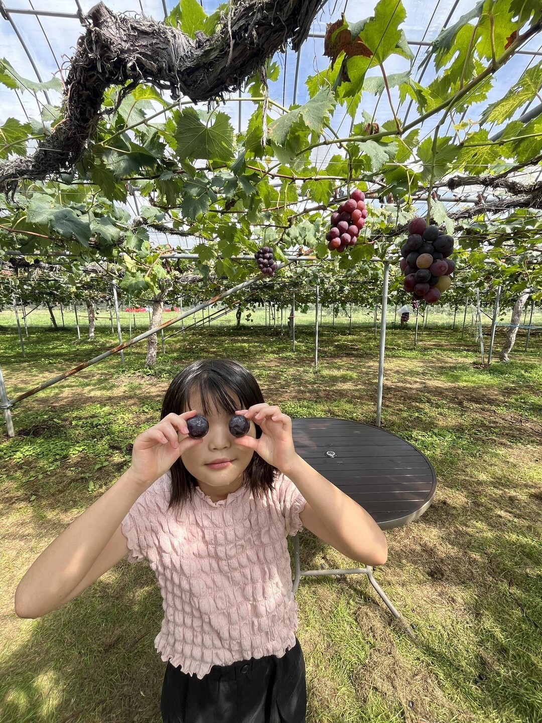 9月22日 家族でぶどう狩り ぶどう狩... / tenpiさんのモーメント | YAMAP / ヤマップ