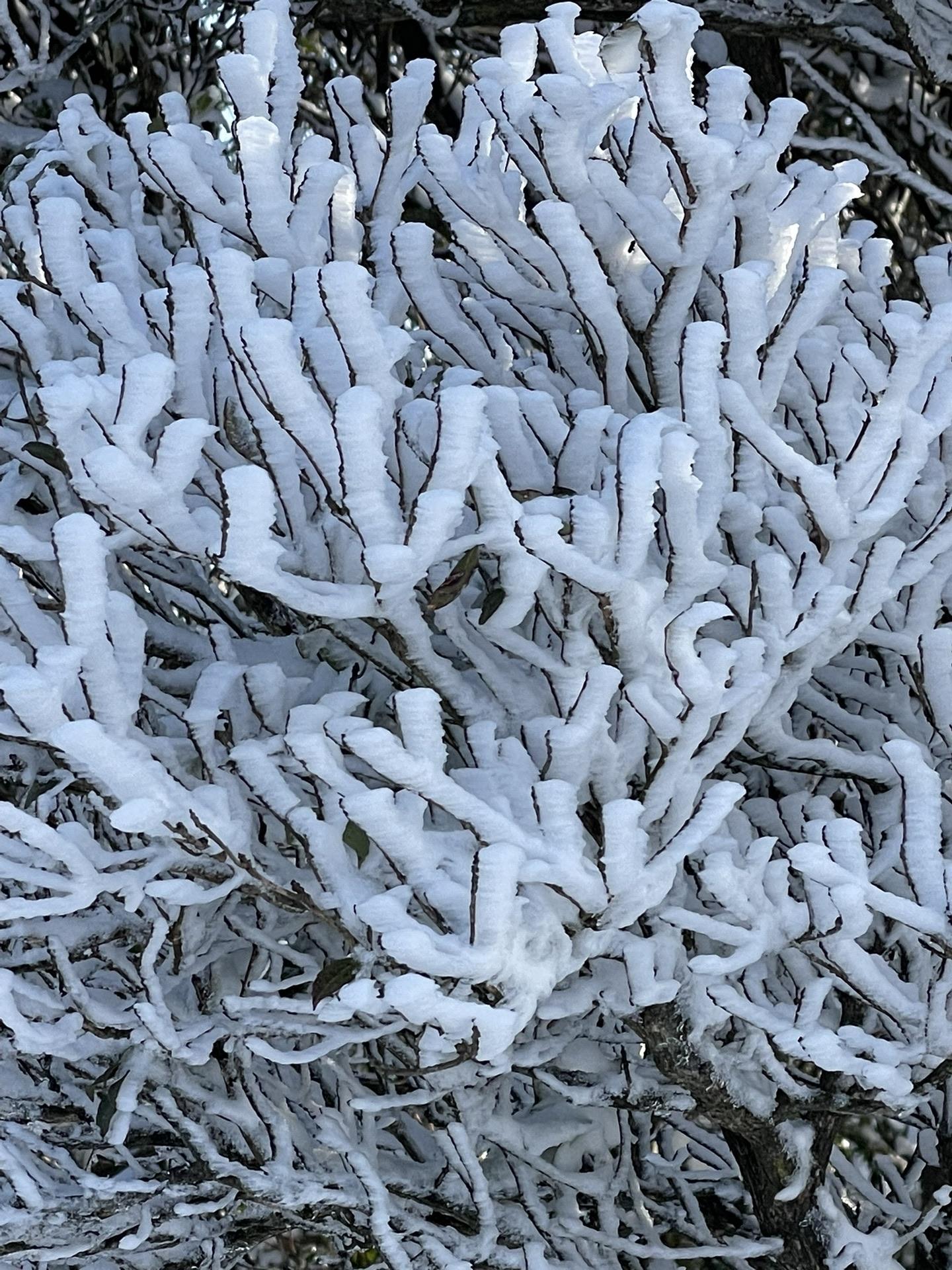 三方山・小倉山 / chiwachiwaさんの養老山・笙ヶ岳・三方山の活動データ | YAMAP / ヤマップ