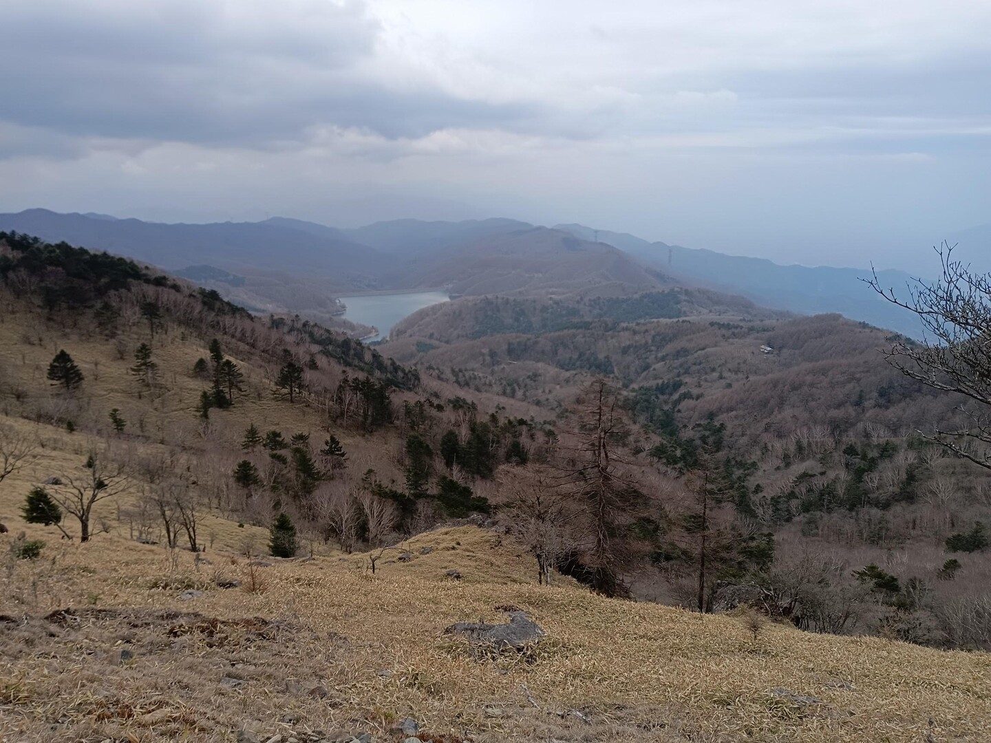 親不知ノ頭・大菩薩嶺 / toraさんの大菩薩嶺・鶏冠山・大マテイ山の活動データ | YAMAP / ヤマップ
