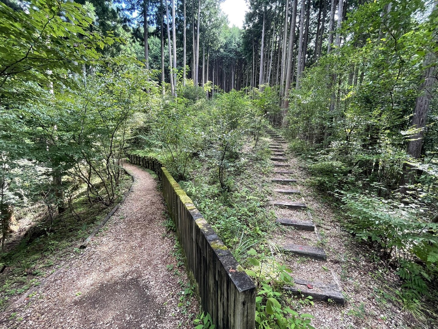 tsk-chaponさんの投稿したフィールドメモ | YAMAP / ヤマップ