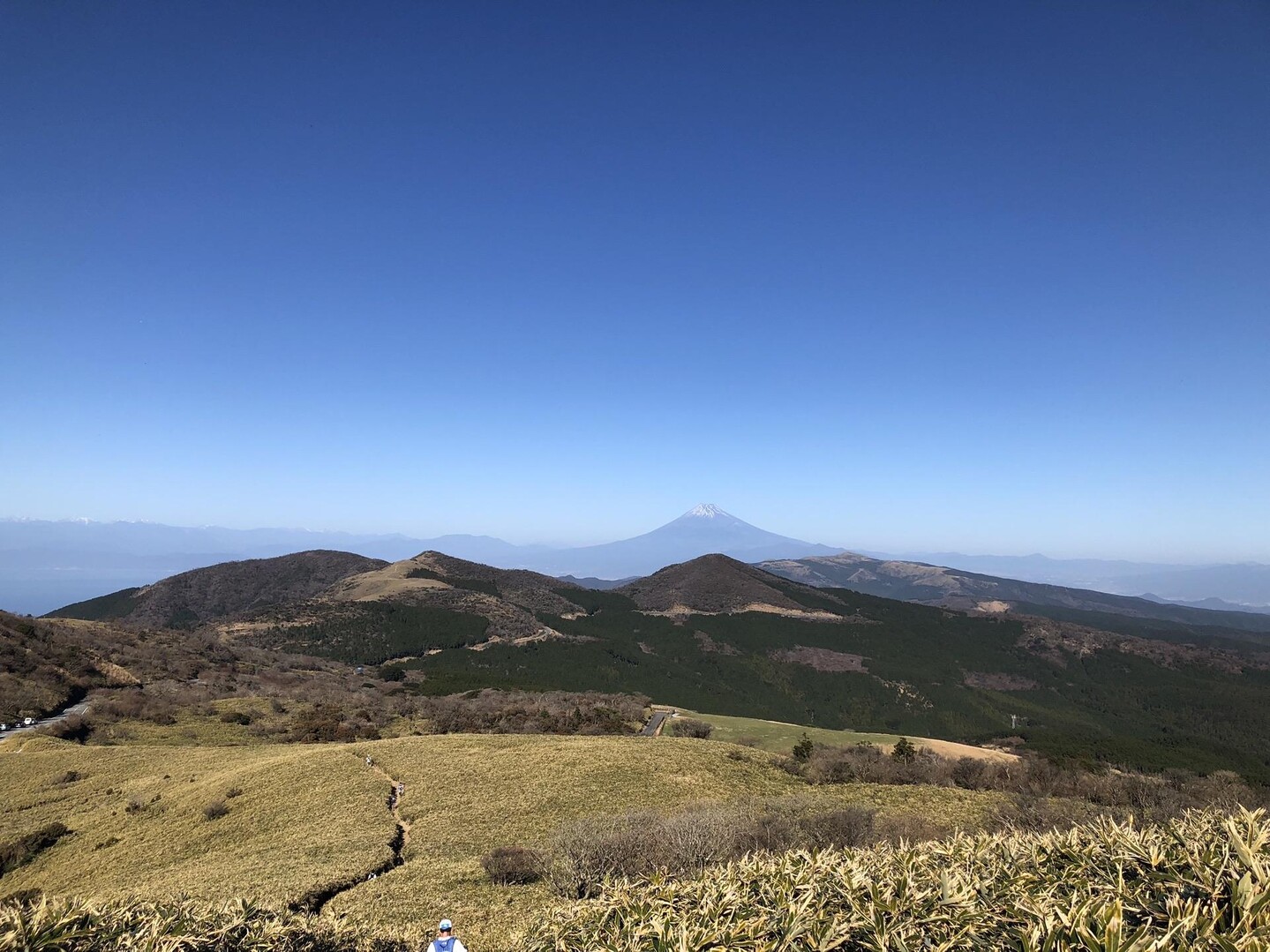 ITJ 伊豆トレイルジャーニー2023 / Mori-zさんの登山の活動日記 | YAMAP / ヤマップ