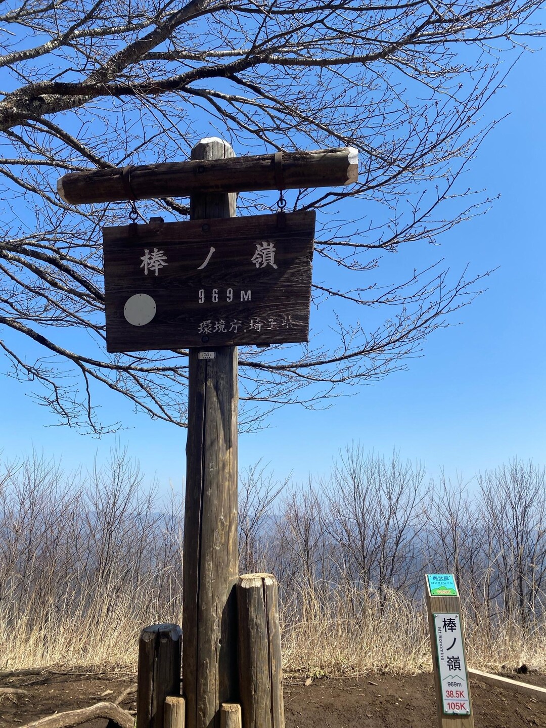 棒ノ嶺（棒ノ折山） / takkoさんの棒ノ折山（棒ノ嶺）の活動データ | YAMAP / ヤマップ