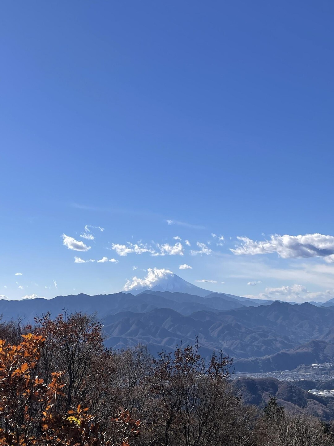 久々の陣馬山⛰️から初めての相模湖駅まで🚉 / mamiさんの高尾山・陣馬山・景信山の活動データ | YAMAP / ヤマップ