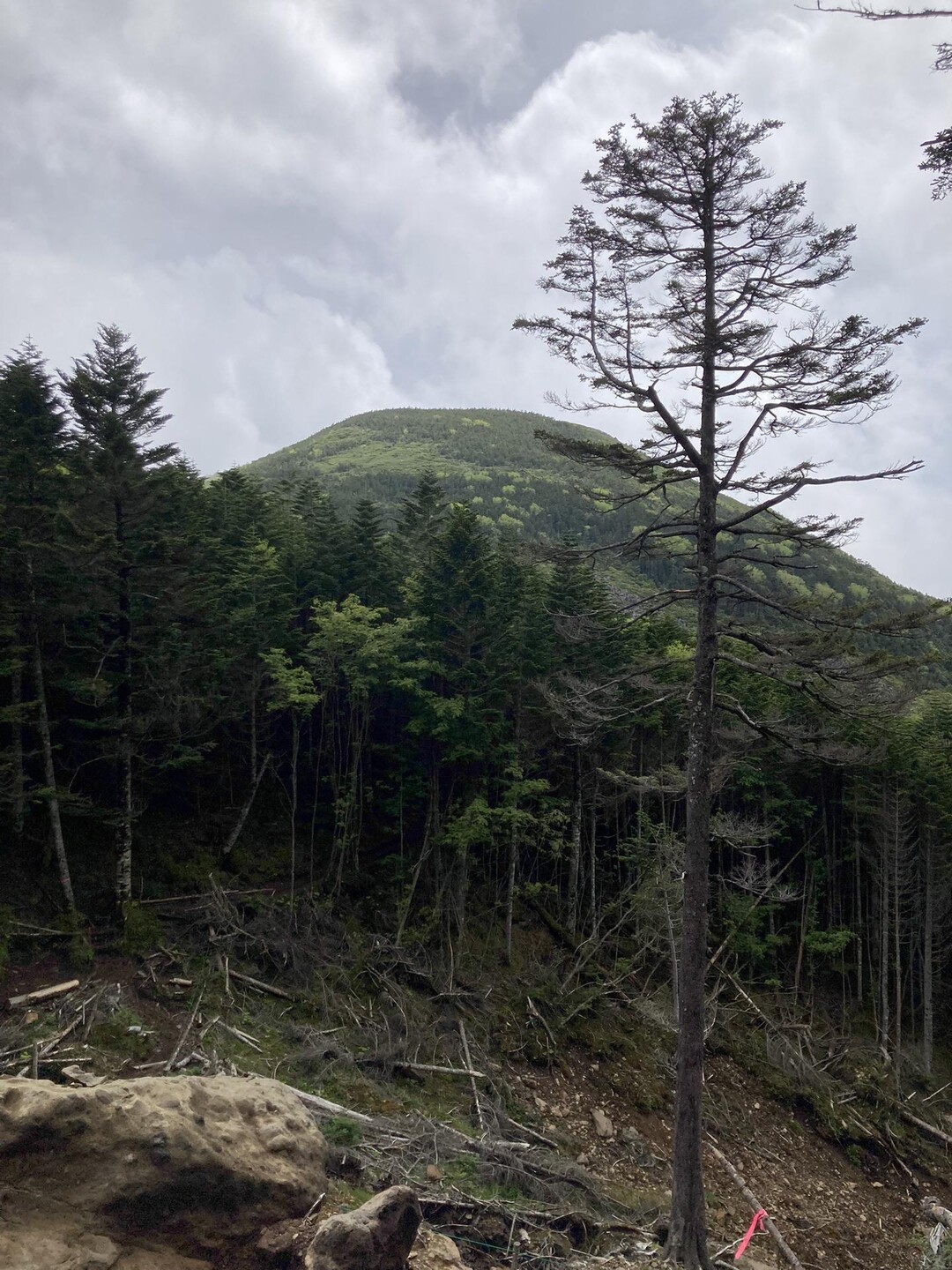 編笠山・西岳 / matsu_kさんの八ヶ岳（赤岳・硫黄岳・天狗岳）の活動データ | YAMAP / ヤマップ