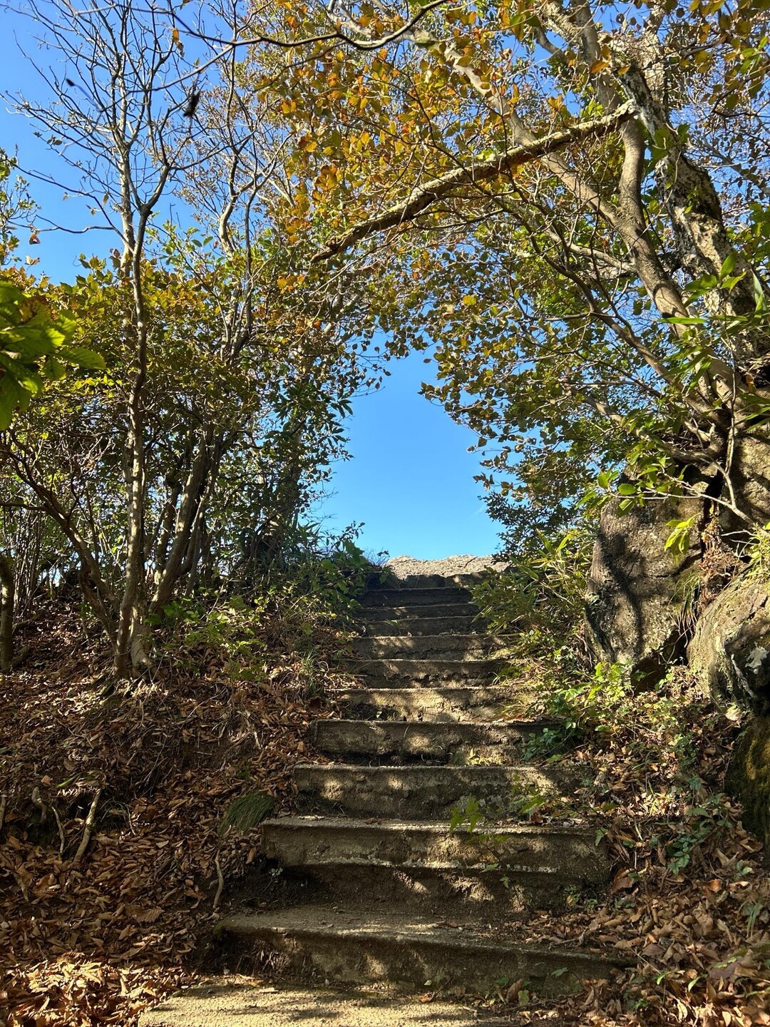 筑波山（男体山）・筑波山（女体山）・坊主山 / tottuanさんの筑波山の活動データ | YAMAP / ヤマップ
