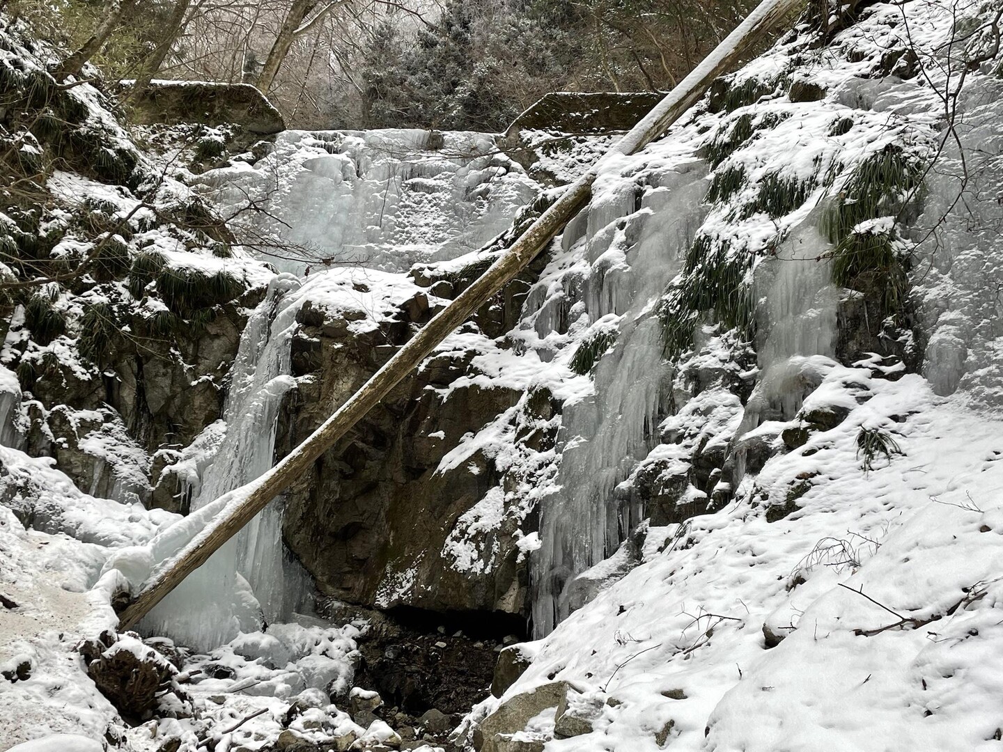 金剛山・もみじ谷見頃の氷瀑 / do-kichi(どおきち)さんの金剛山・二上山・大和葛城山の活動データ | YAMAP / ヤマップ