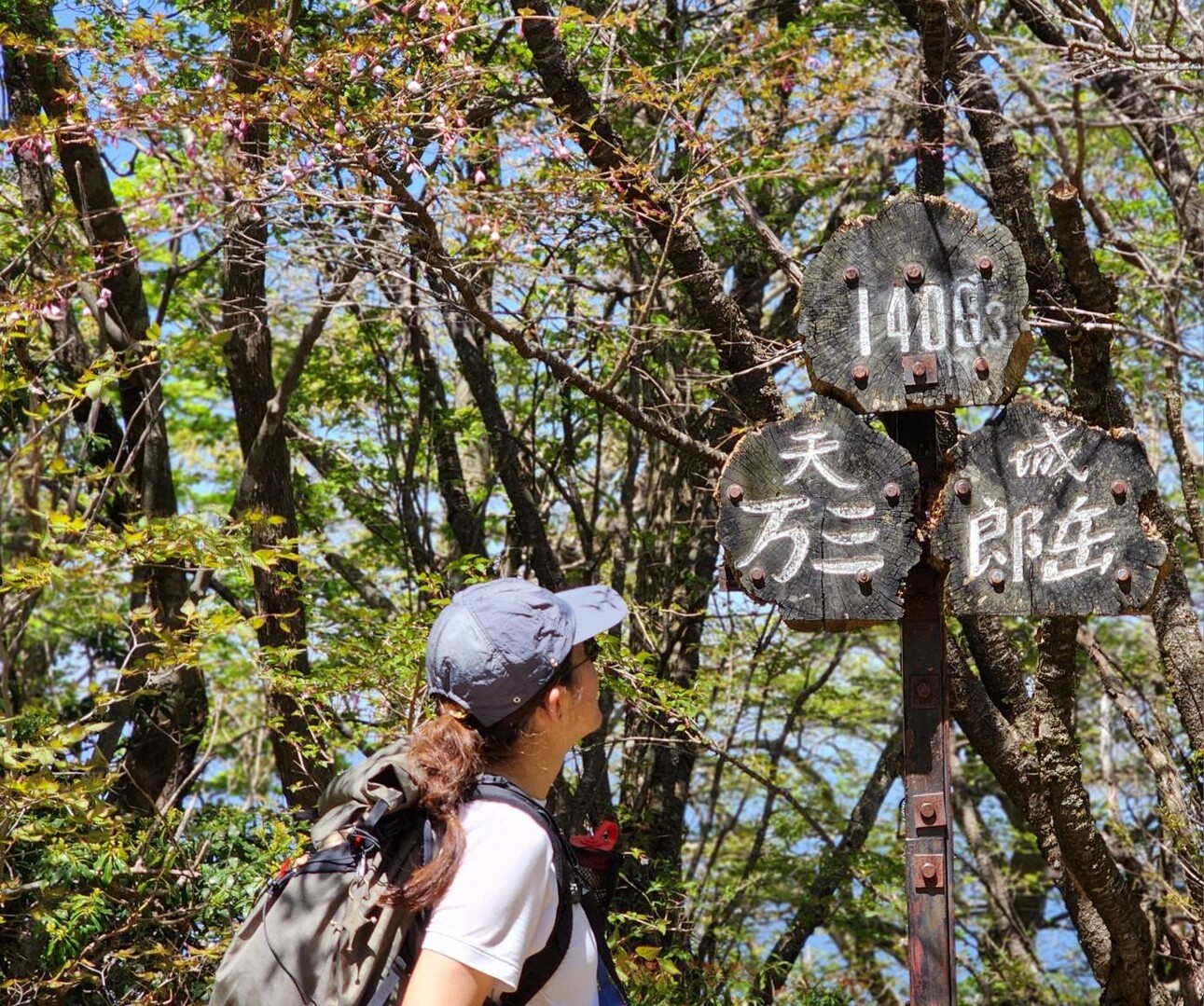 天城山（周回シャクナゲコース） / makiさんの天城山・鉢ノ山・三筋山の活動データ | YAMAP / ヤマップ