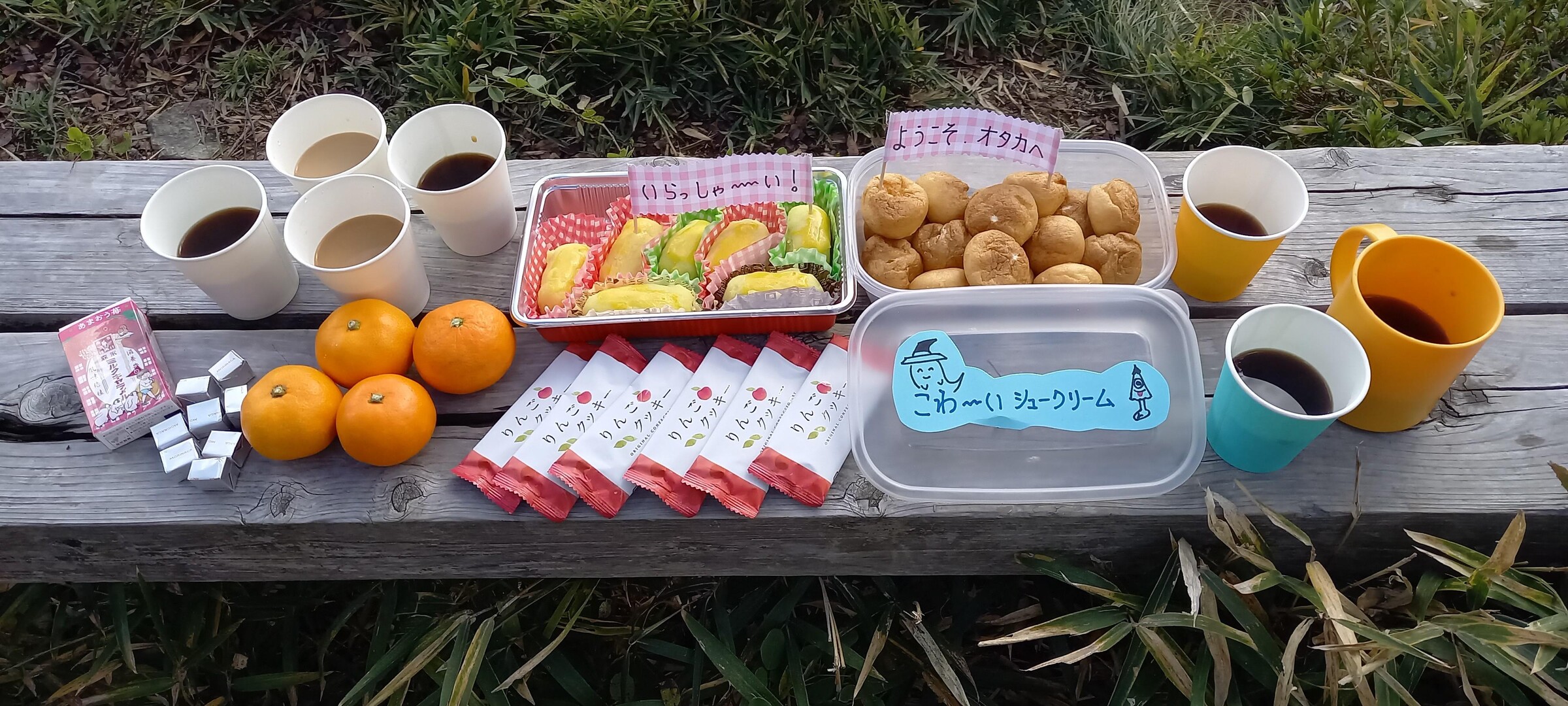 2023.11.18 雄鷹台山ドウダンツ... / akoh_jiさんのモーメント | YAMAP / ヤマップ