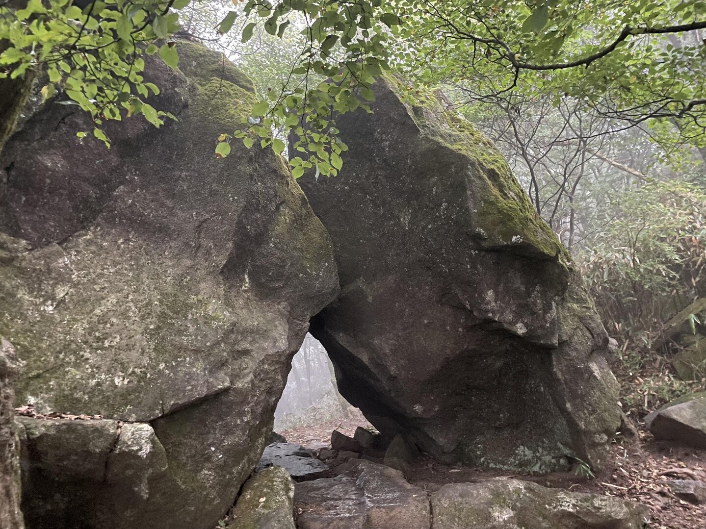 筑波山・道迷い者を助ける / houjinoさんの筑波山の活動データ | YAMAP / ヤマップ