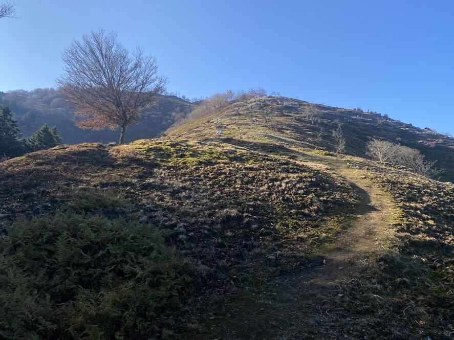 桧塚奥峰 / SAWA Bohemianさんの登山の活動データ | YAMAP / ヤマップ