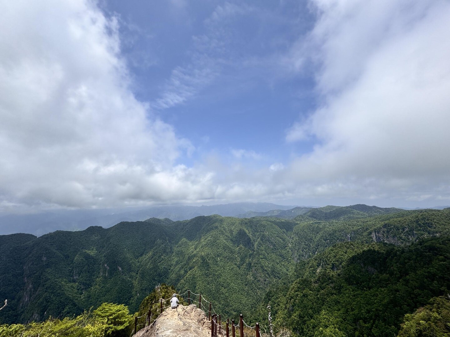 大台ヶ原山時計回り周回 / necoさんの大台ヶ原山・日出ヶ岳・大杉谷の活動データ | YAMAP / ヤマップ