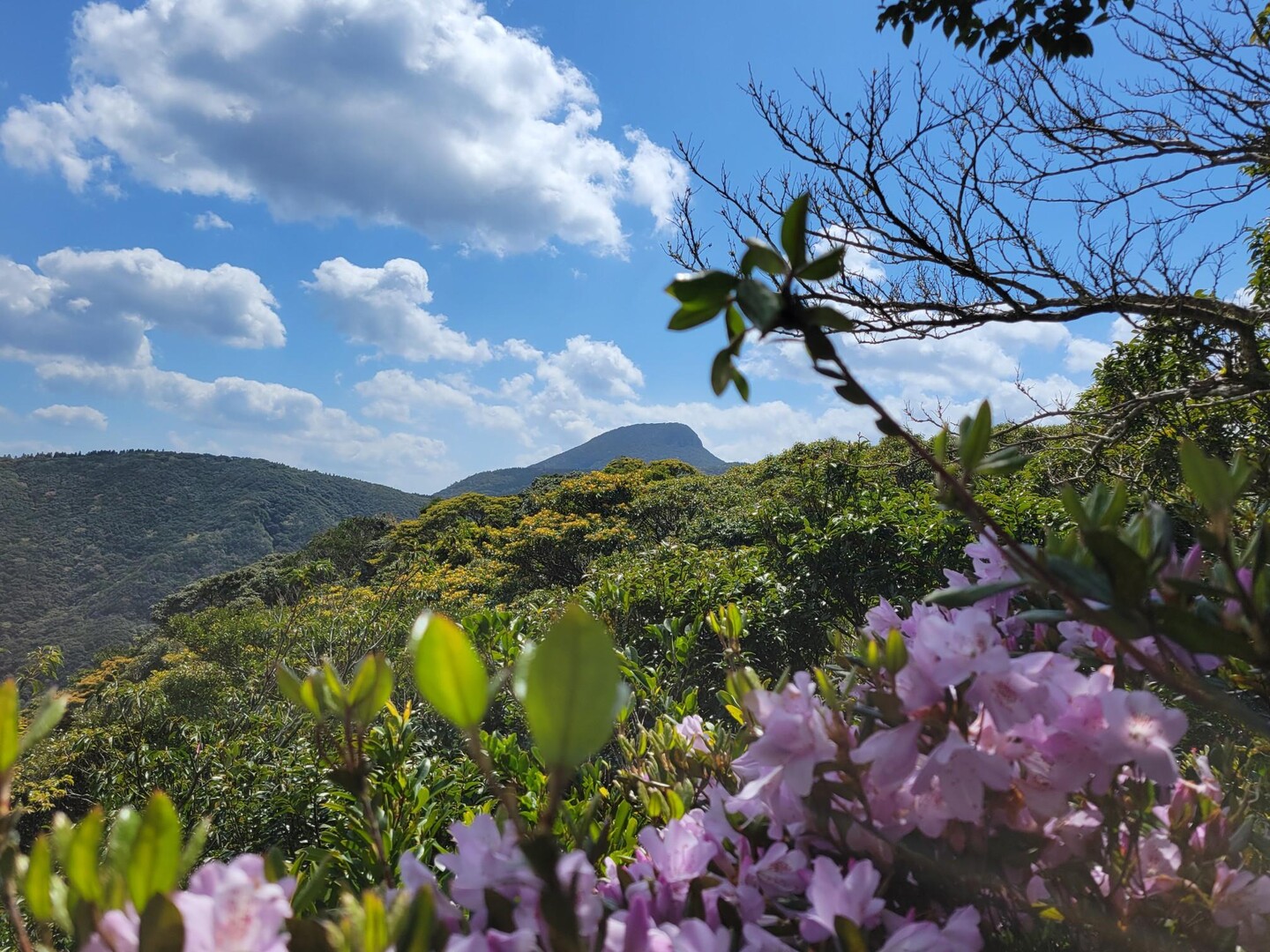 野間岳・鼻山 / 礼ちゃんさんの野間岳の活動データ | YAMAP / ヤマップ