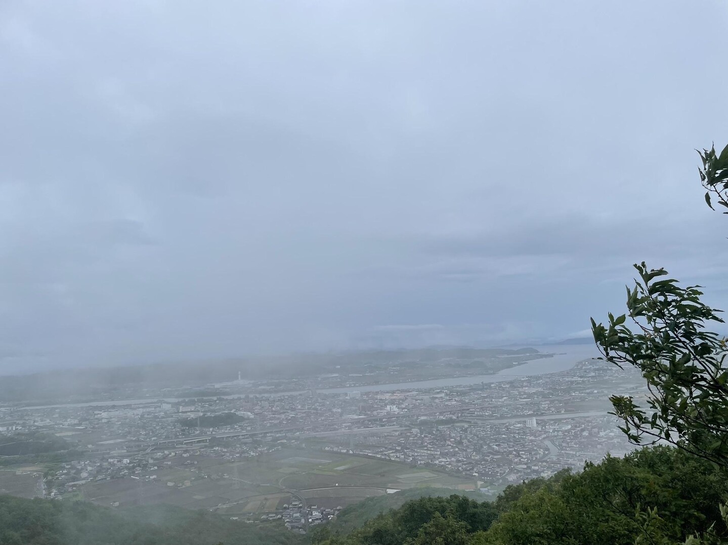 芥子山 6月のKCC / まちゃさんの芥子山・シャシャ木山の活動データ | YAMAP / ヤマップ