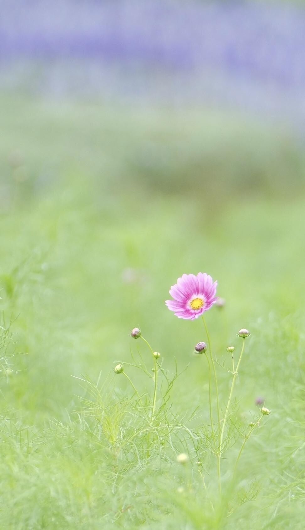 北海道の自然、動物達に 今年もたくさん触... / a---koさんのモーメント | YAMAP / ヤマップ