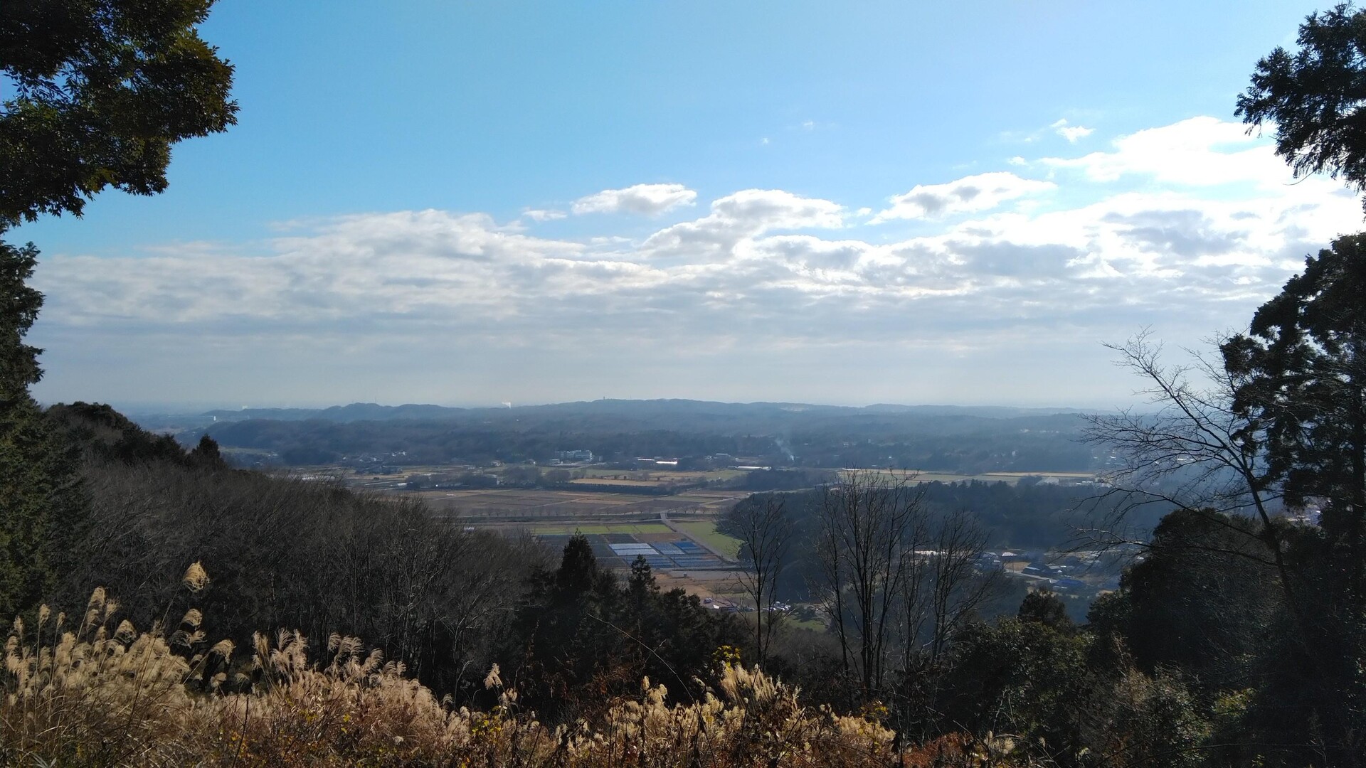 大平山 / A1さんの武蔵嵐山・大平山・仙元山の活動データ | YAMAP / ヤマップ