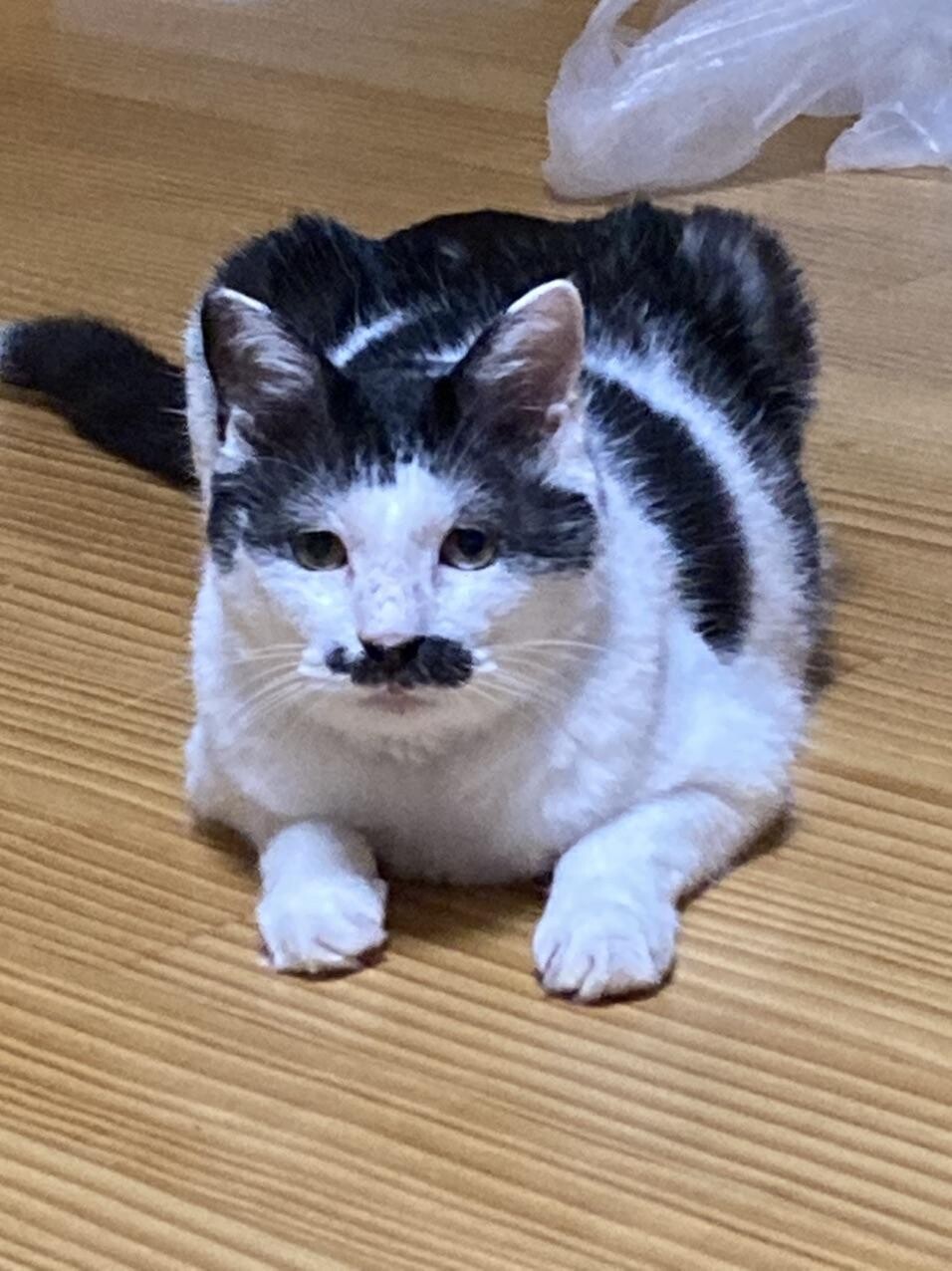 mmのページ | YAMAP / ヤマップ