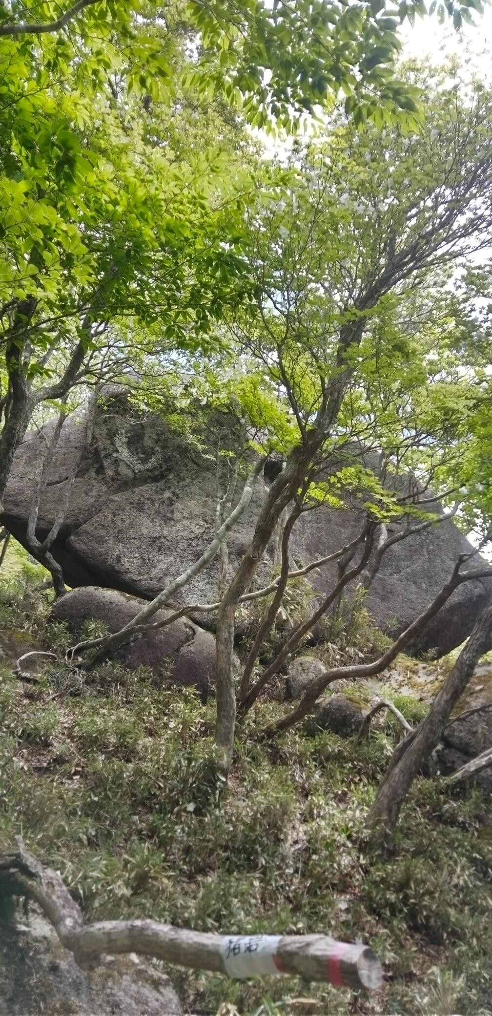 よねっちさんの投稿したフィールドメモ | YAMAP / ヤマップ