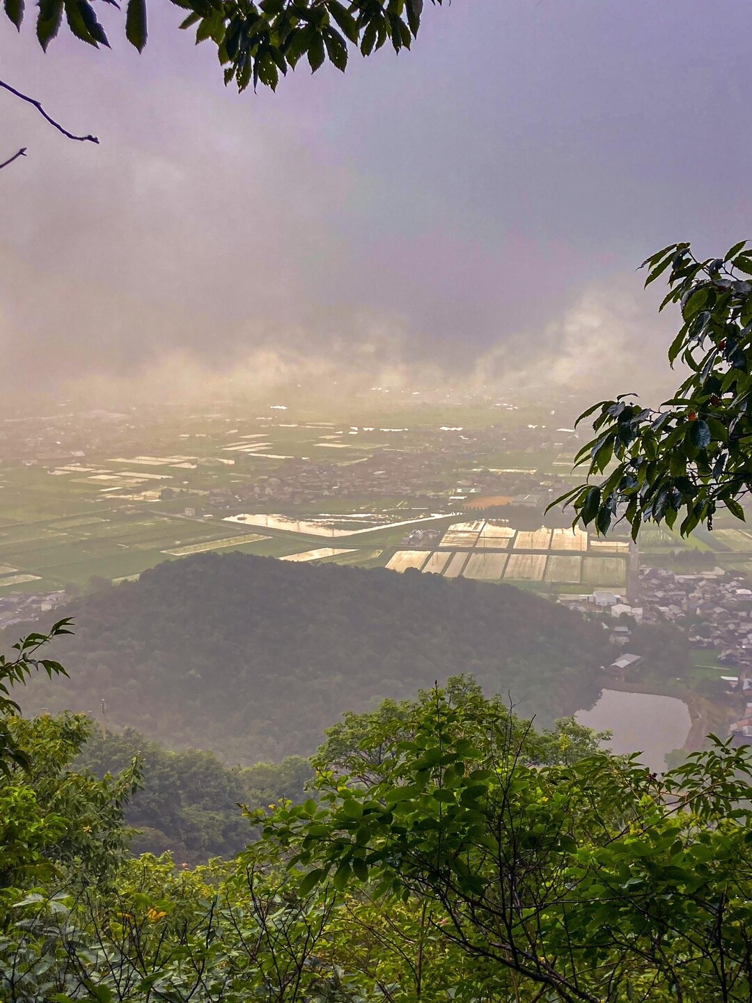 高御位山 湿度120％ 真っ白け / okinjoさんの高御位山・播磨アルプスの活動データ | YAMAP / ヤマップ