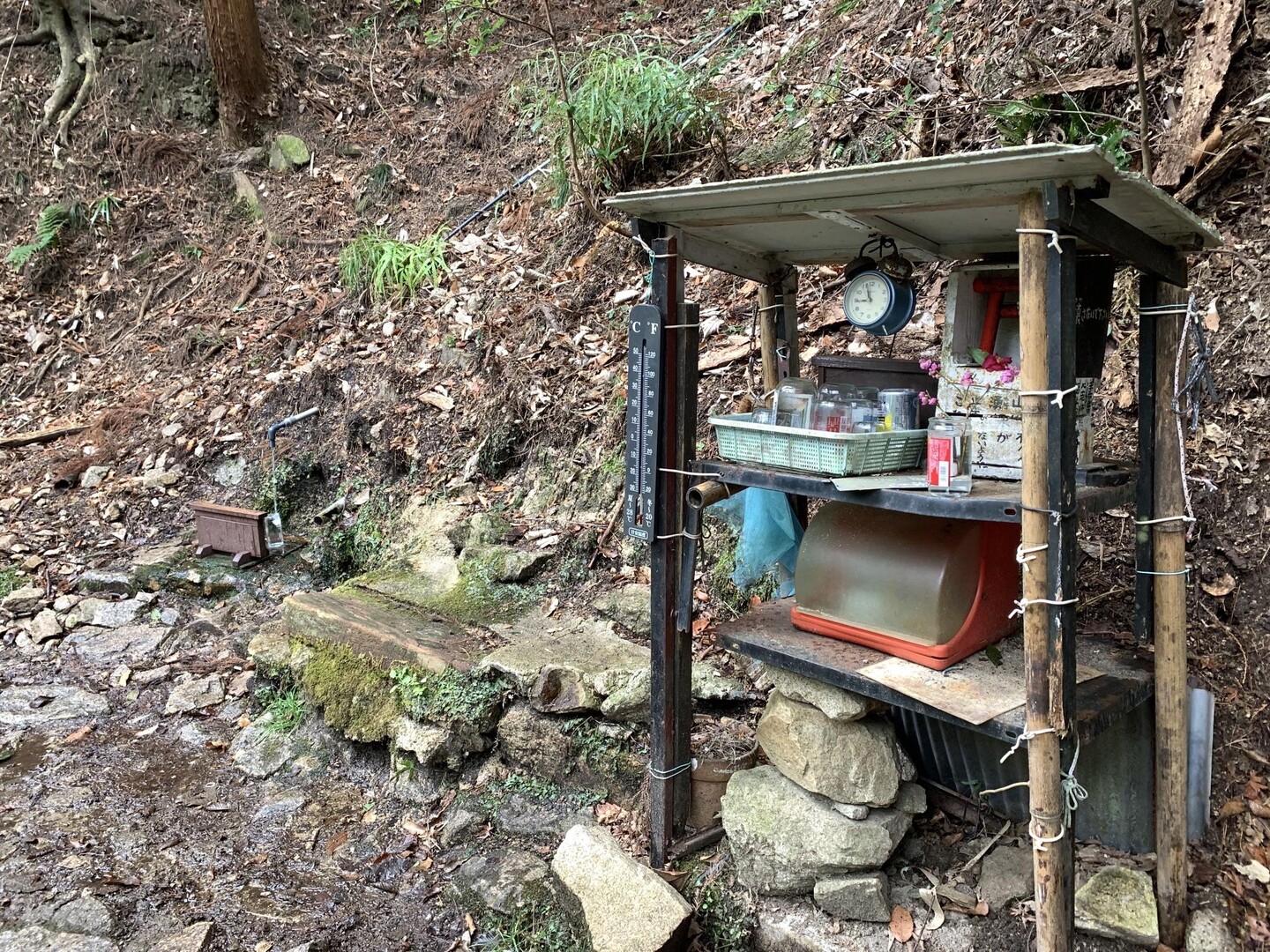 nonpui(ノンプイ)さんの投稿したフィールドメモ | YAMAP / ヤマップ