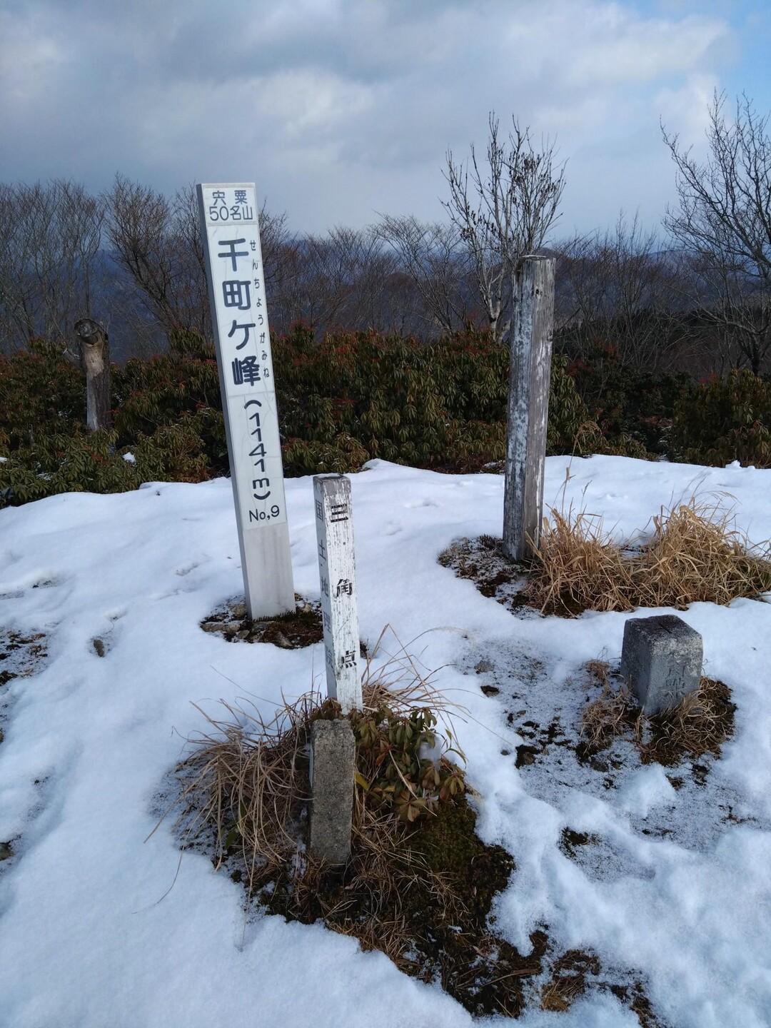 千町ヶ峰・段ヶ峰・杉山・笠杉山 宍粟50名山 / 神戸KAC_THさんの段ヶ峰・笠杉山・千町ヶ峰の活動データ | YAMAP / ヤマップ