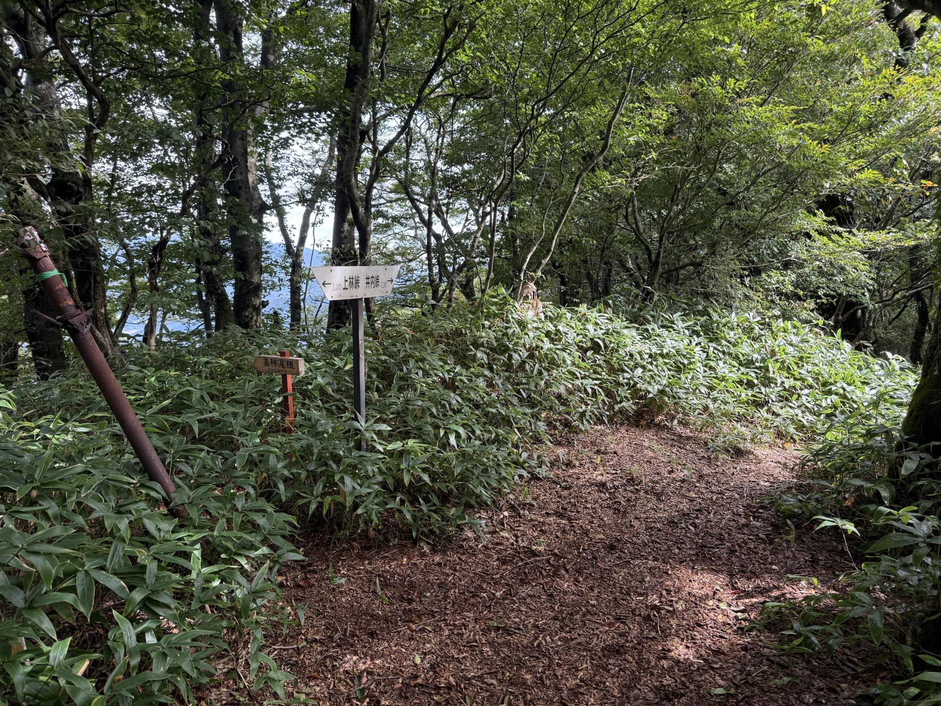 前々司山 / ta3netさんの皿ヶ嶺・梅ヶ谷山・うなめごの活動データ | YAMAP / ヤマップ