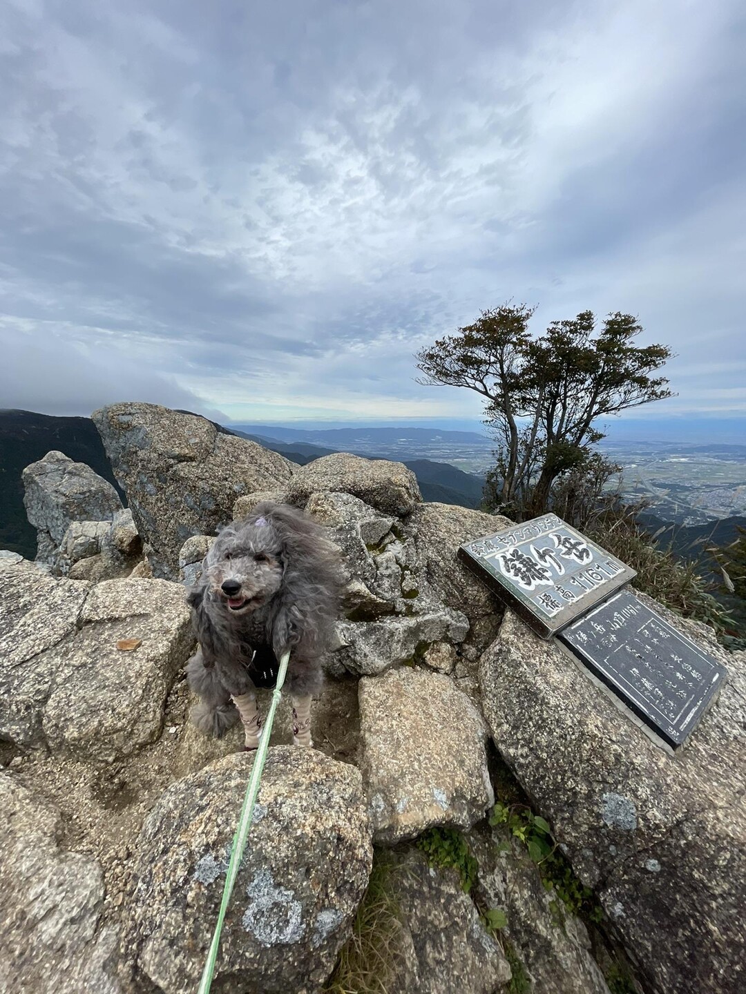 鎌ヶ岳2022-10-08 / Bobさんの御在所岳（御在所山）・雨乞岳の活動データ | YAMAP / ヤマップ
