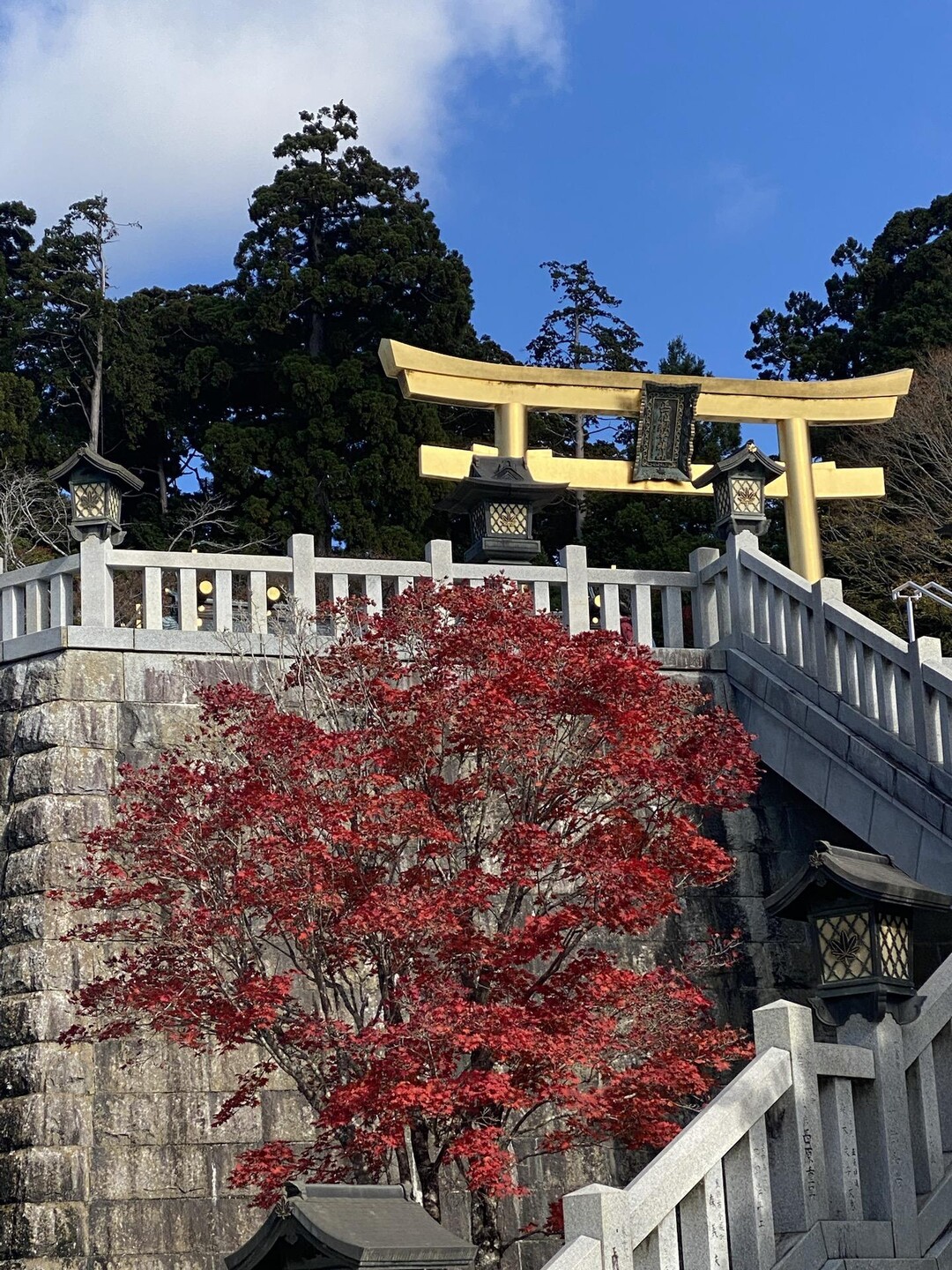 秋葉山 / MASAPさんの秋葉山の活動日記 | YAMAP / ヤマップ