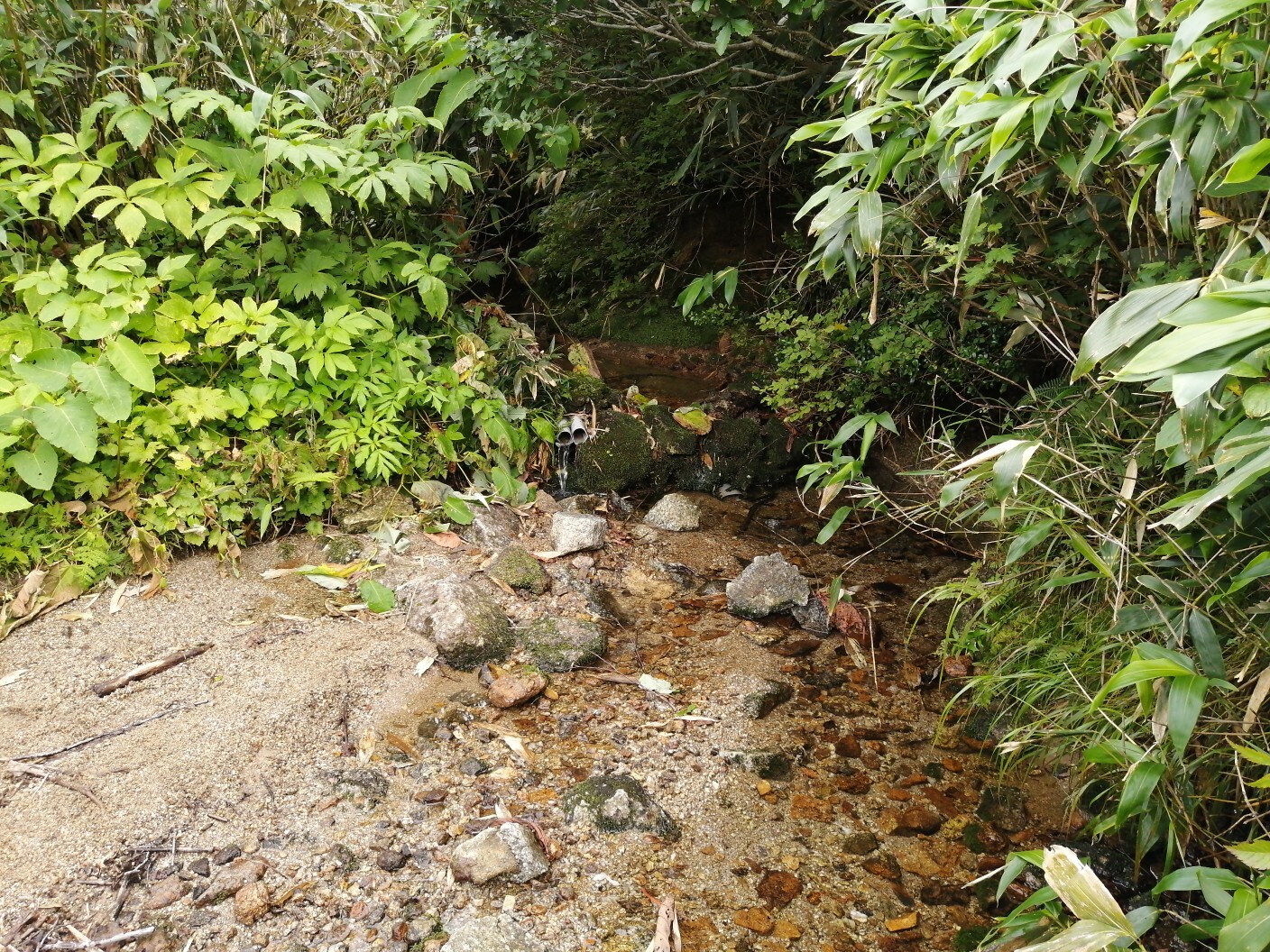 Masakiさんの投稿したフィールドメモ | YAMAP / ヤマップ