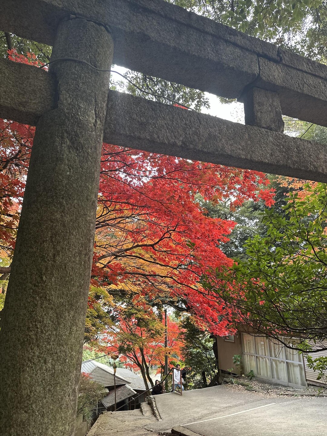 new🥾in筑波山 / かんみさんの筑波山の活動データ | YAMAP / ヤマップ