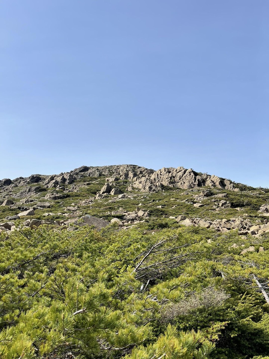 早池峰山 / KB会登山部No.1さんの早池峰山・薬師岳・鶏頭山の活動データ | YAMAP / ヤマップ