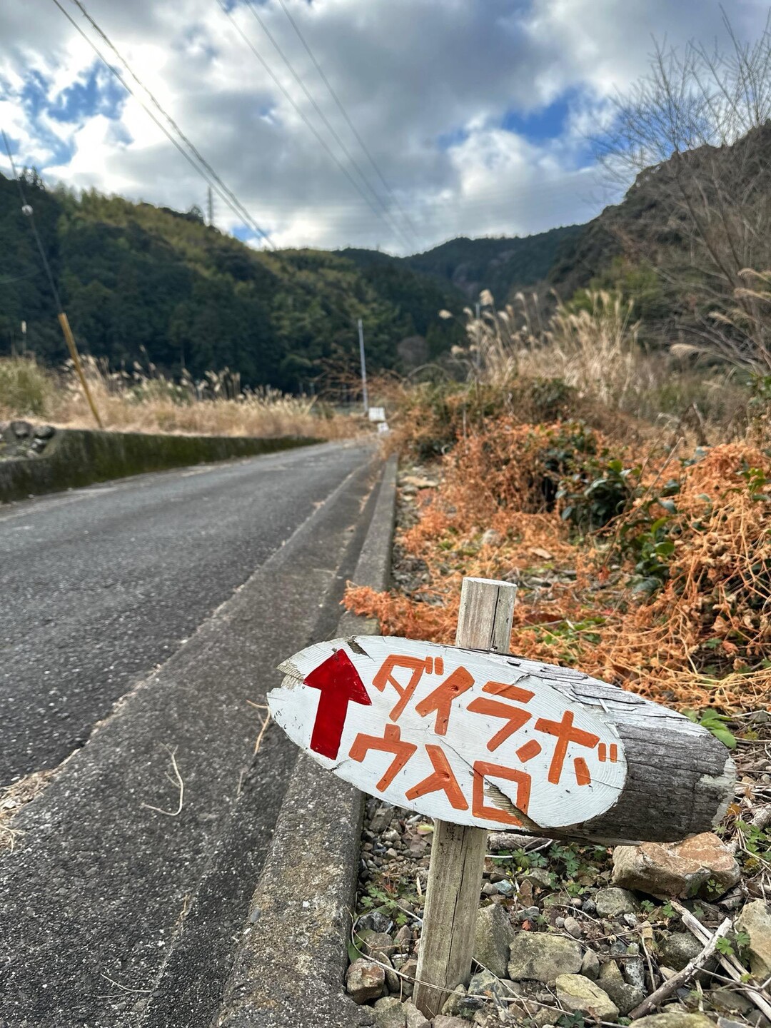 ダイラボウ / Ricoさんのダイラボウの活動データ | YAMAP / ヤマップ