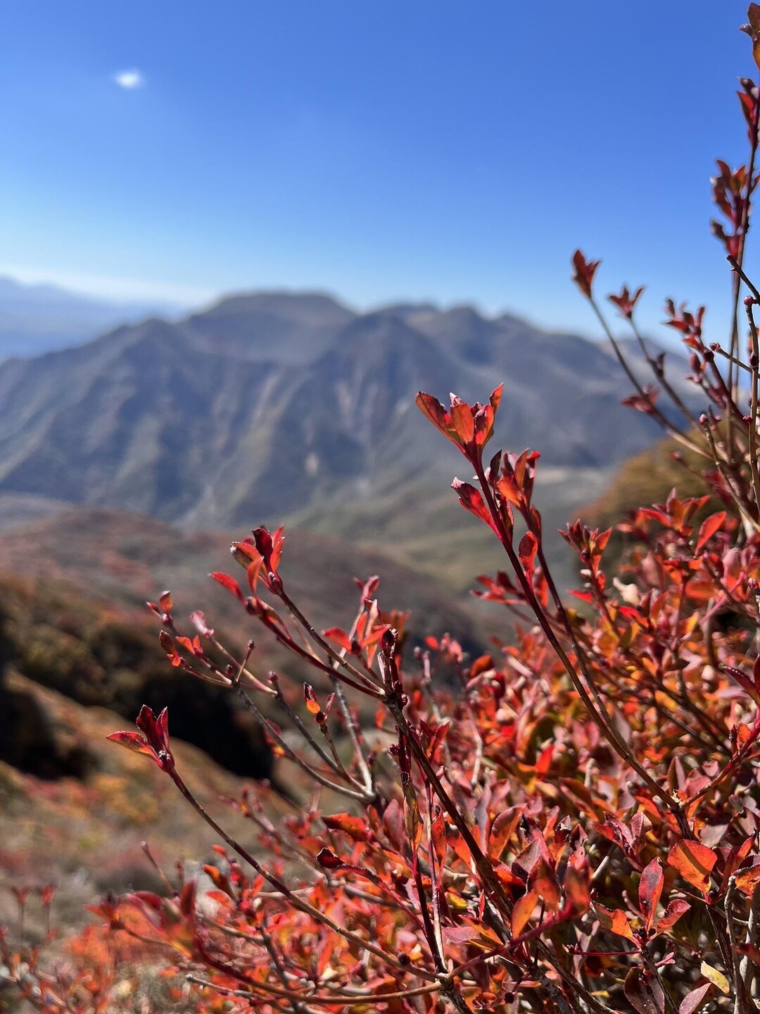 大船山・北大船山 / motoさんの九重山（久住山）・大船山・星生山の活動日記 | YAMAP / ヤマップ