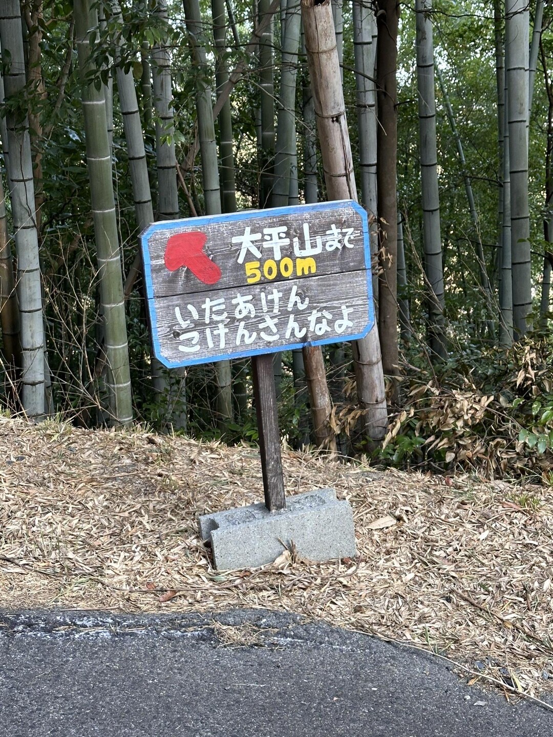 大平山 車で登山Part3🚗³₃ / け̤̮ぇ̤̮さんの上蒲刈島の活動データ | YAMAP / ヤマップ