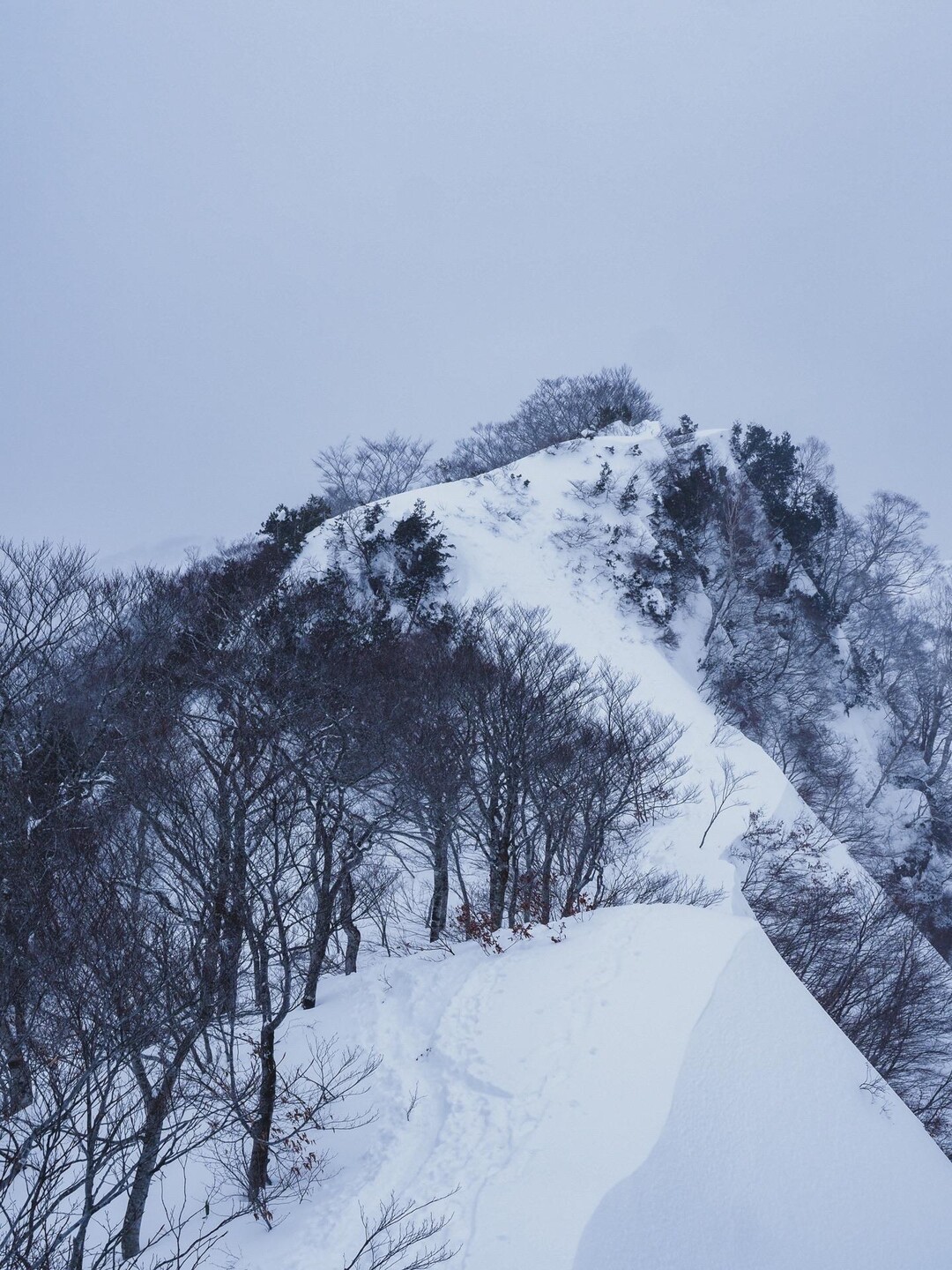 2022年登り納め。谷川岳途中撤退。 / inbさんの谷川岳・七ツ小屋山・大源太山の活動データ | YAMAP / ヤマップ